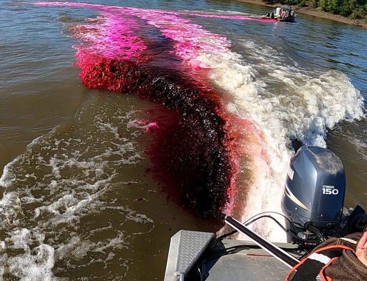 Rhodamine WT Dye – PME | Providing sensors and systems for monitoring ...